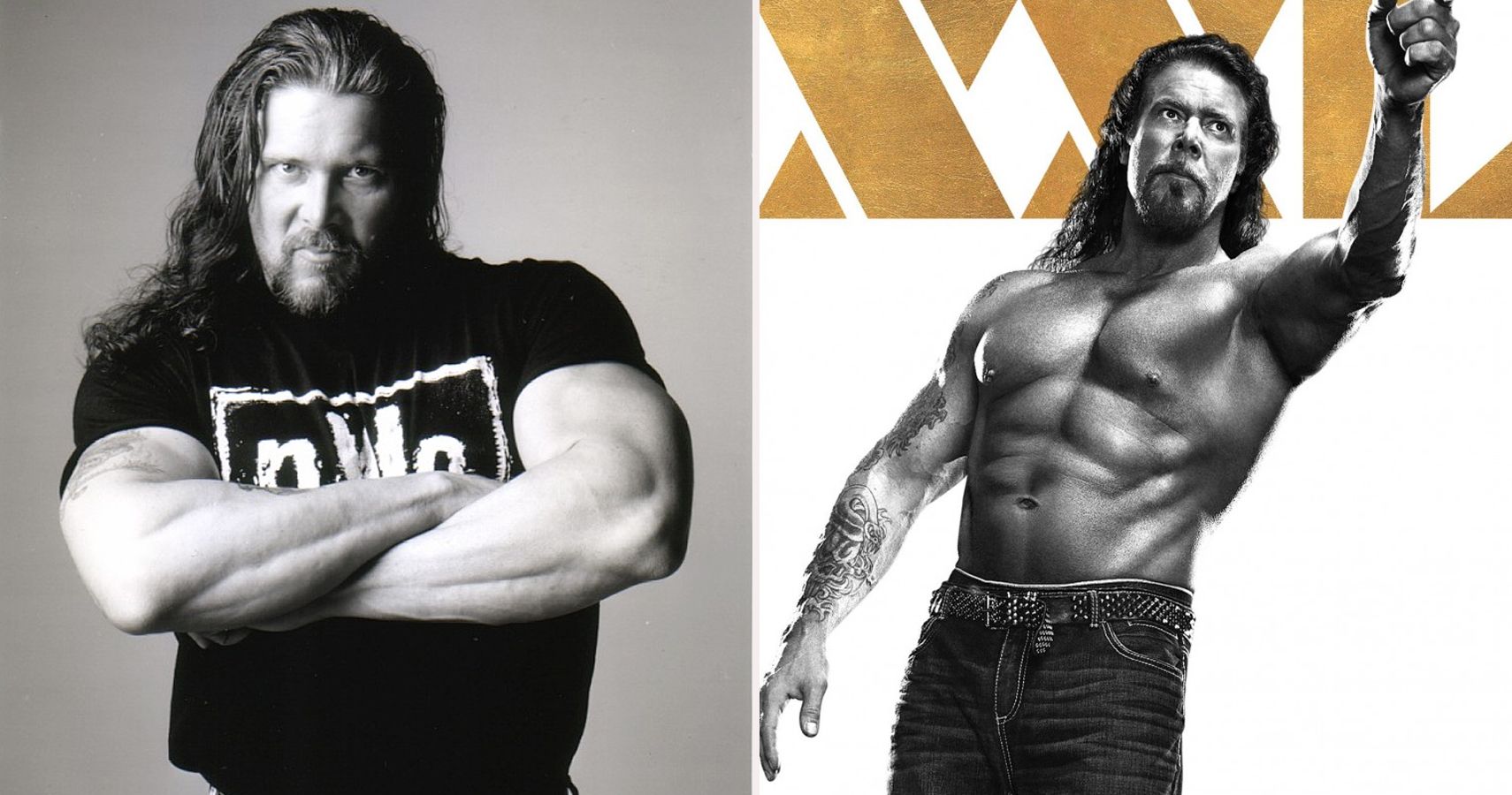 Top 12 Members Of The nWo: Where Are They Now? | TheSportster