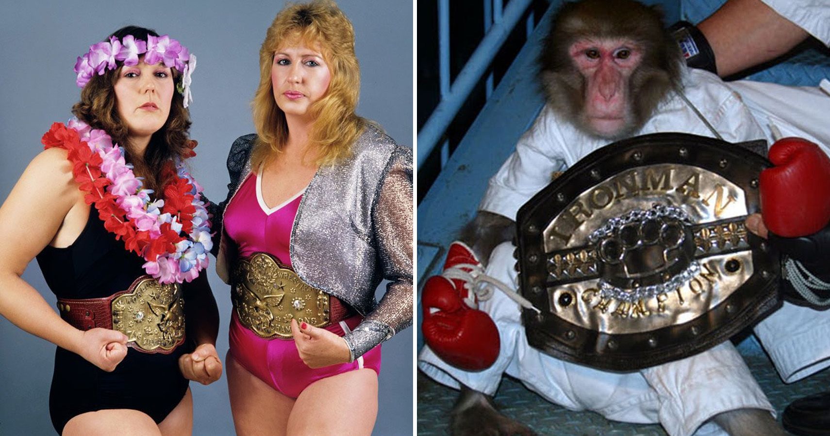 Bizarre Wrestling Championships You Won t Believe Existed bizarre-wrestling-championships-you-won-t-believe-existed