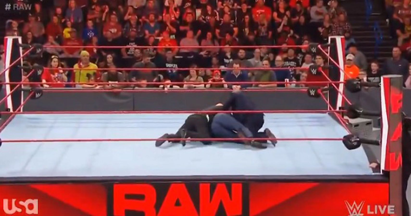 Oops!: Lana Wedding Officiant Accidentally Tackled By WWE Security [Video]