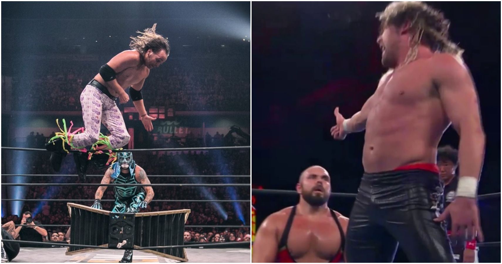 10 Best Ladder Matches Outside of WWE | TheSportster